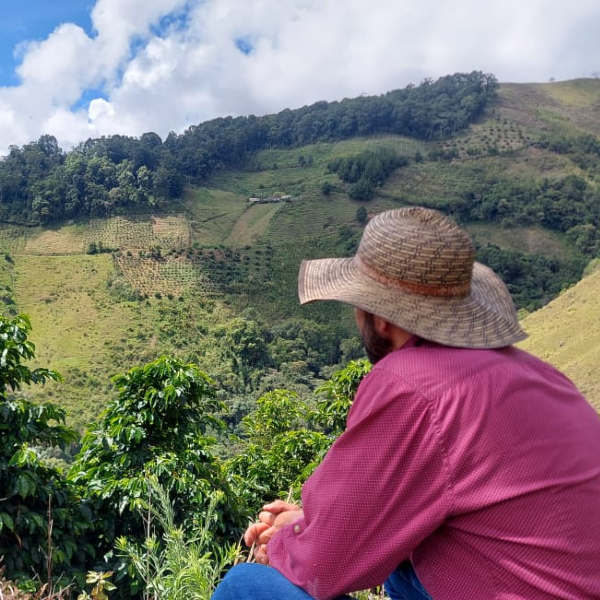 Sendero Andino: Edición Especial de Café Colombiano